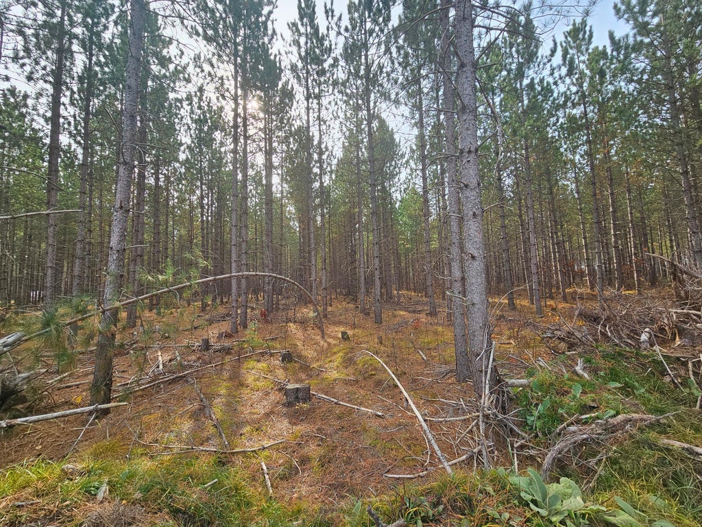 On Burrows Lake Rd, Tomahawk, WI - MLS# 209590 - LandBin.com