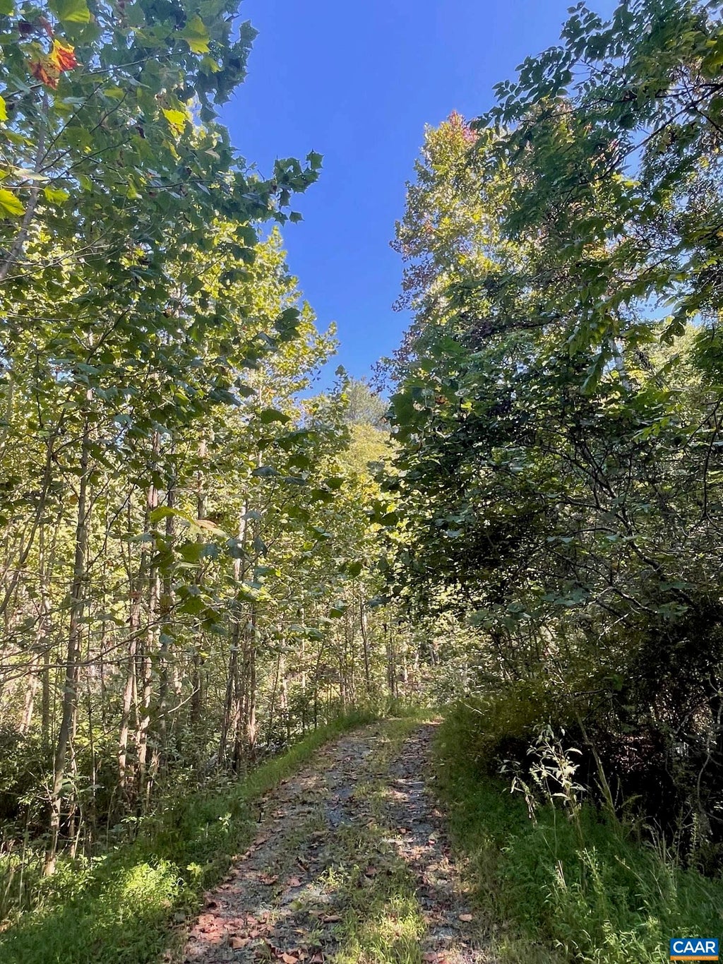 Tbd Stony Point Pass, Keswick Property Listing: MLS® #645866