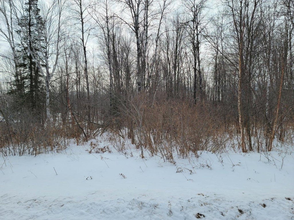 Off Weirgor Rd # 5 Acres, Radisson, WI - MLS# 210870 - LandBin.com