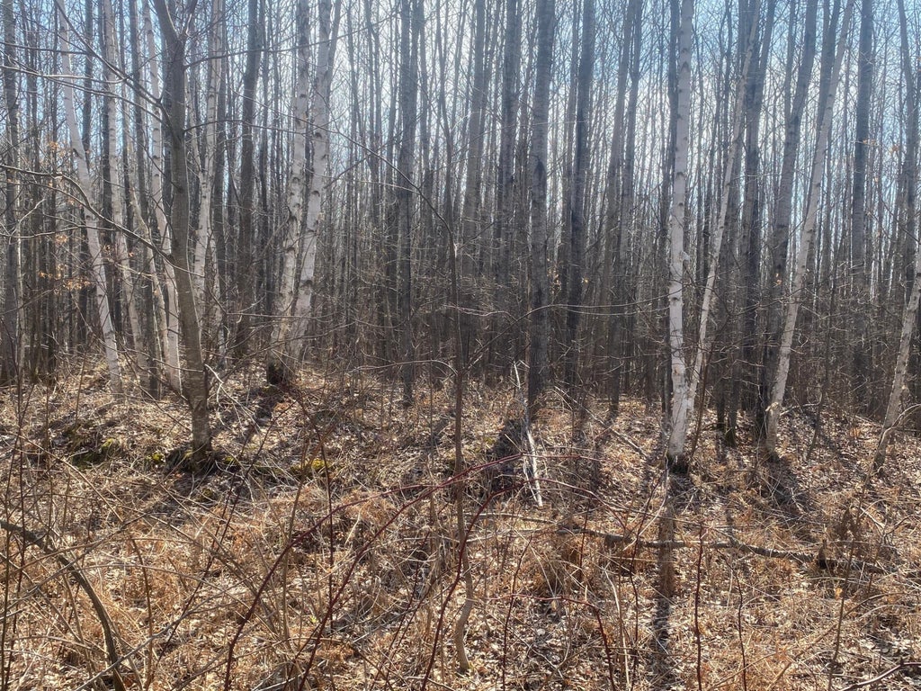 On Up River Rd, Phillips, WI - MLS# 211519 - LandBin.com