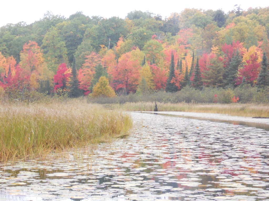 On Bear Tail Pt, Phelps - MLS #211649 - LakePlace.com