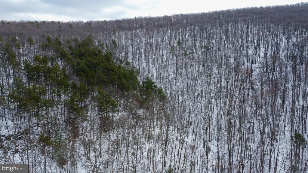 Cubbage Hollow Rd, Lot 75 - 40.55 Acres, Stanley Property Listing: MLS ...