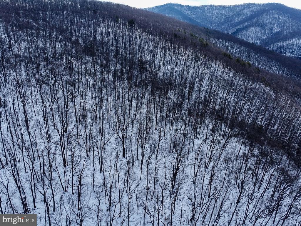 Cubbage Hollow Rd, Lot 75 - 40.55 Acres, Stanley Property Listing: MLS ...