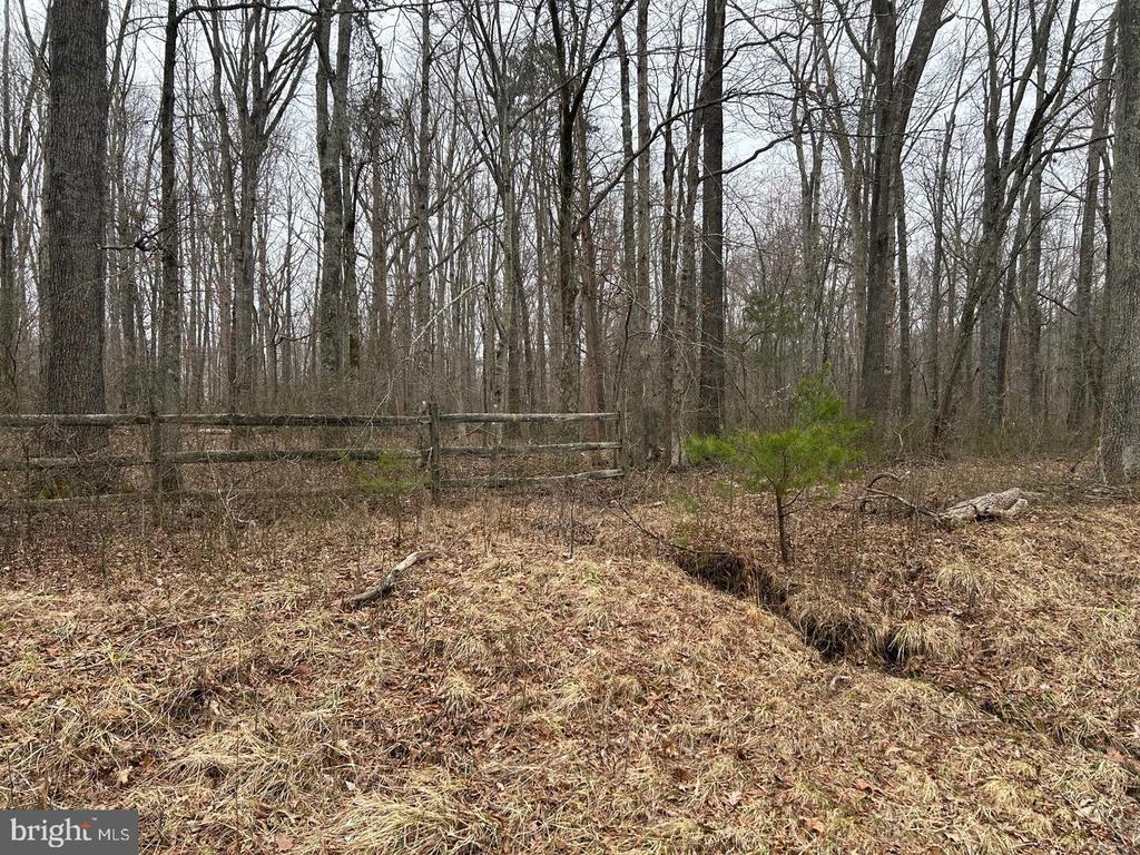 Swan Woods Rd, Rhoadesville Property Listing: MLS® #VAOR2009088