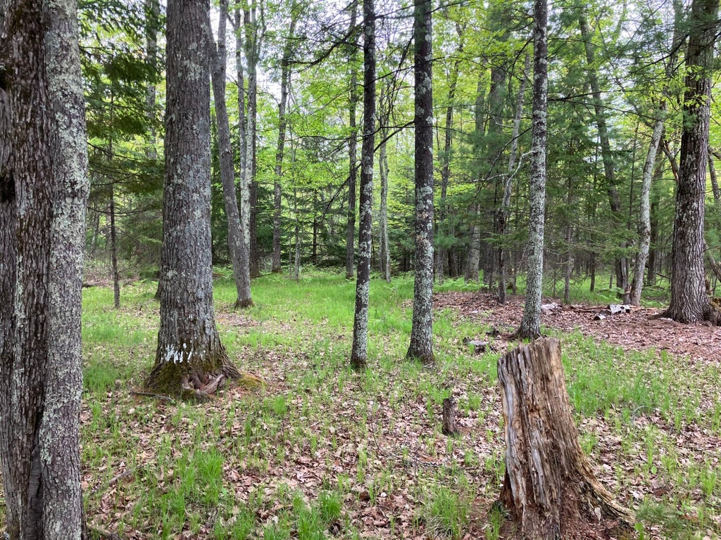 On Thoroughfare Rd, Minocqua, WI - MLS# 212286 - LandBin.com