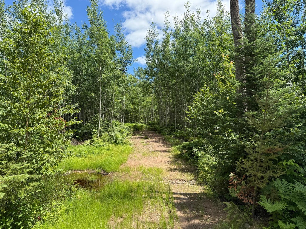 Lot 4 Grundy Rd, , WI - MLS# 213348 - LandBin.com