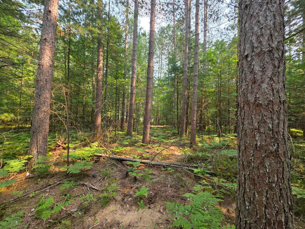 Lot 50 Whitetailed Deer Dr, Tomahawk, WI - MLS# 213586 - LandBin.com
