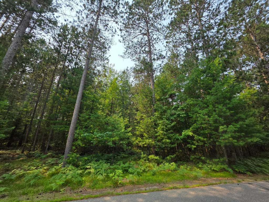 Lot 50 Whitetailed Deer Dr, Tomahawk, WI - MLS# 213586 - LandBin.com