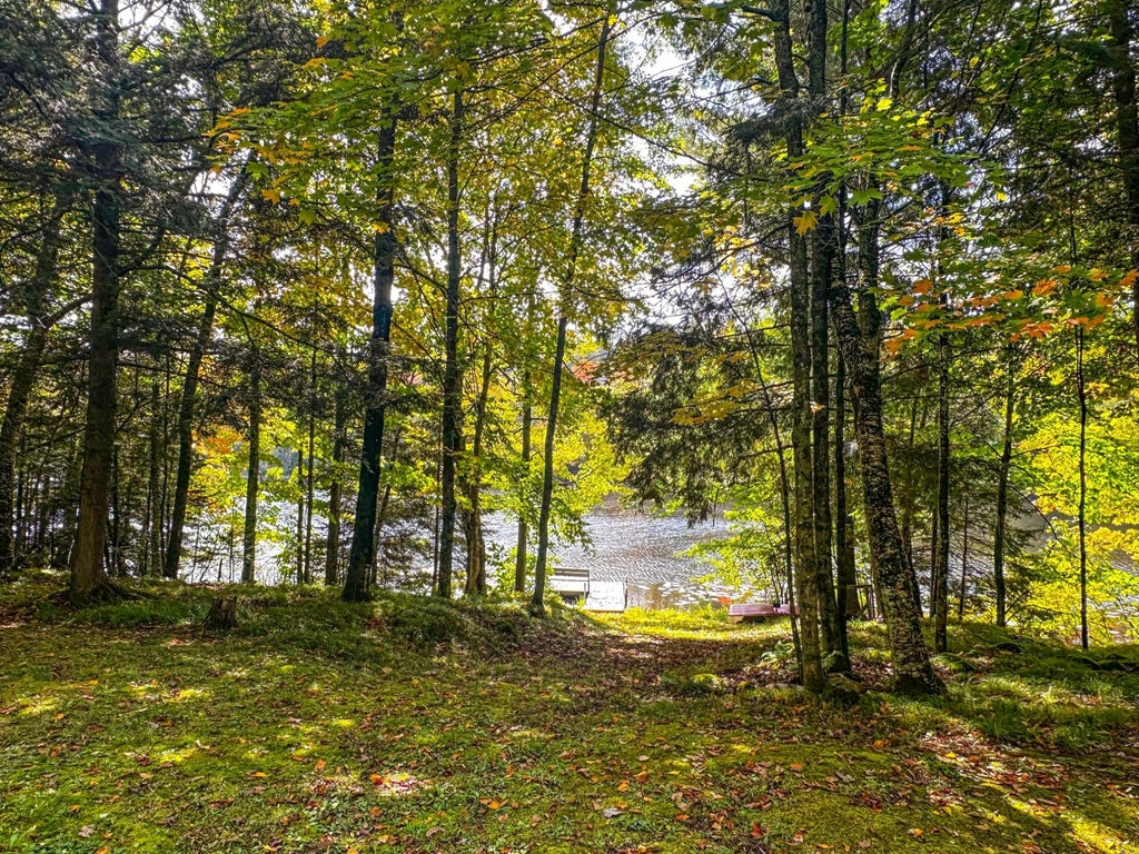 W8155 Demars Bridge Ln, Park Falls, WI - MLS# 214367 - LandBin.com