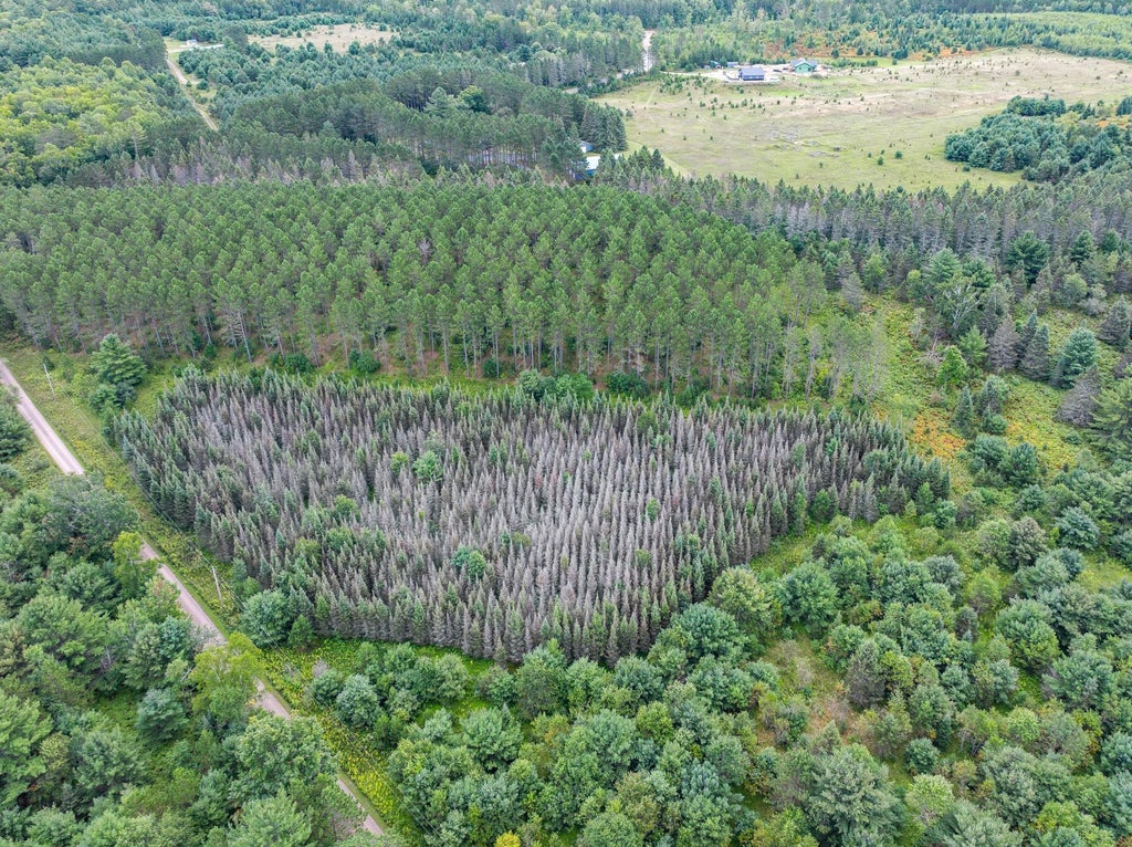 5 Ac On Black Bear Ln, Phelps, WI - MLS# 214370 - LandBin.com