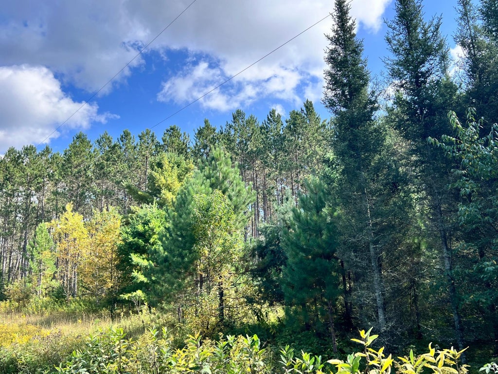 5 Ac On Black Bear Ln, Phelps, WI - MLS# 214370 - LandBin.com