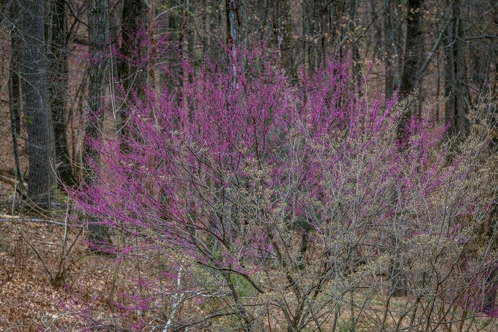 9586 Brunk Spring Ln, Broadway Property Listing: MLS® #663559