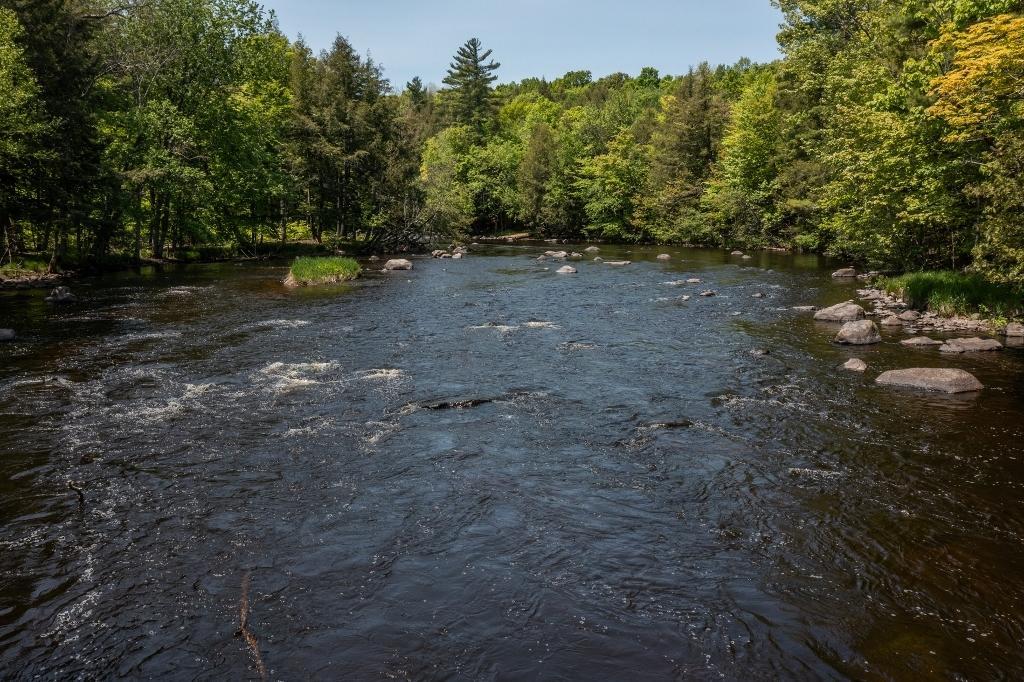 N12203 Bear Cave Rd, Silver Cliff - MLS #212266 - LakePlace.com