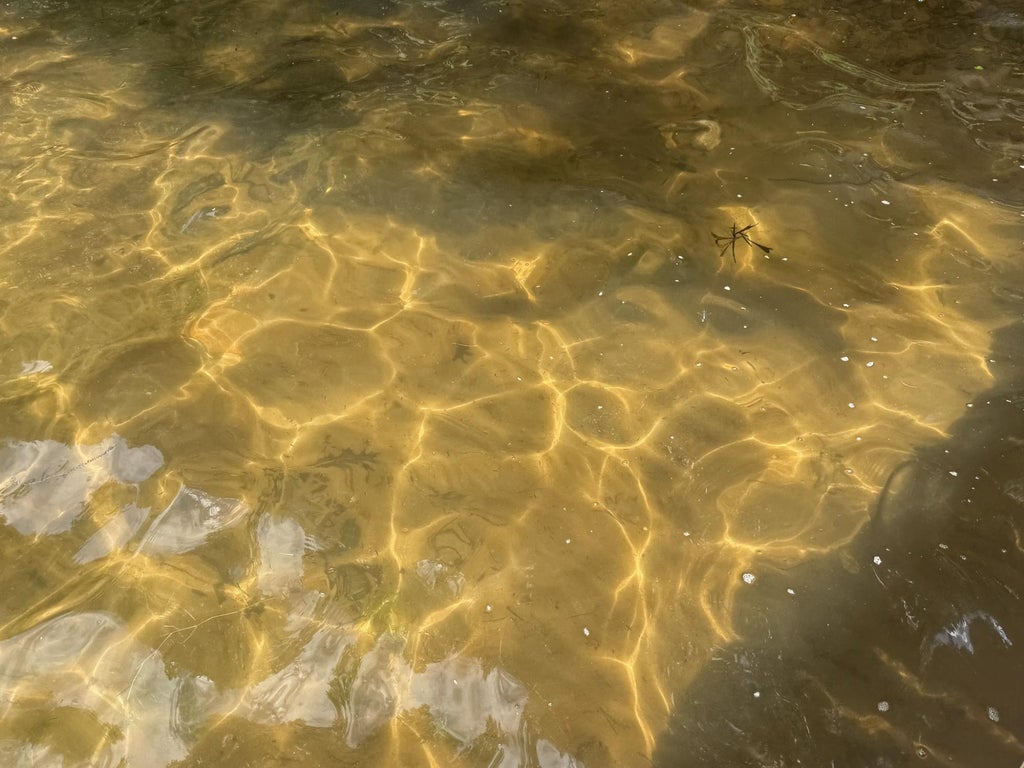 8305 Doolittle Rd, Minocqua - MLS #213054 - LakePlace.com