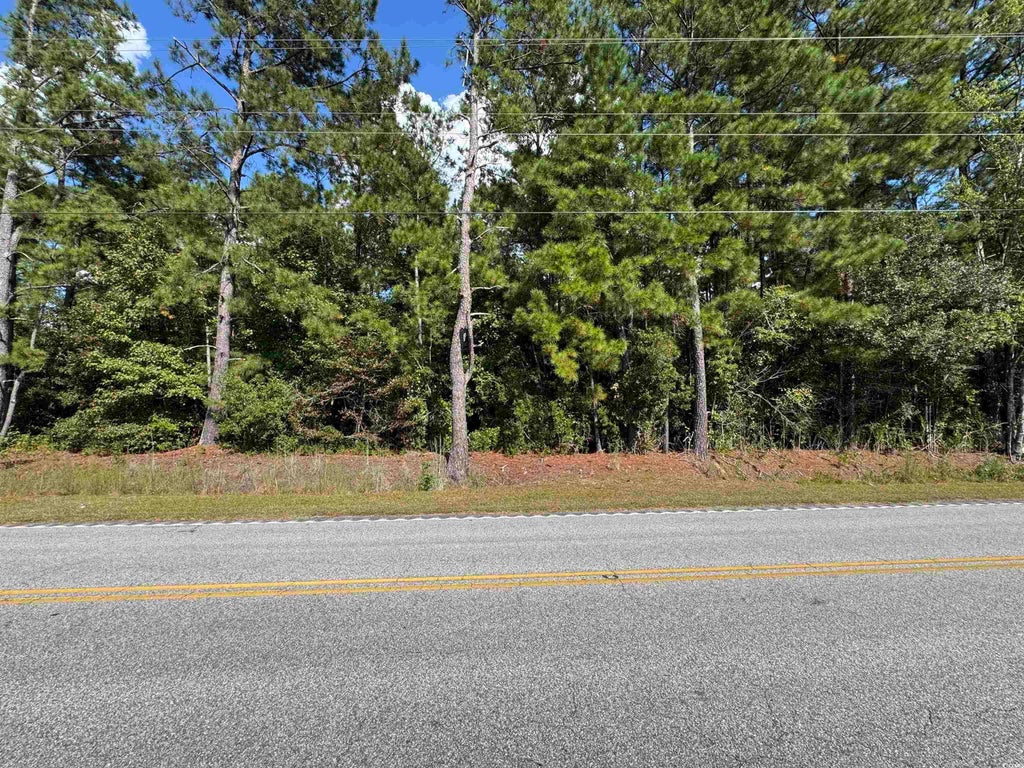 Tbd Mount Olive Rd., Loris Property Listing: MLS® #2523044