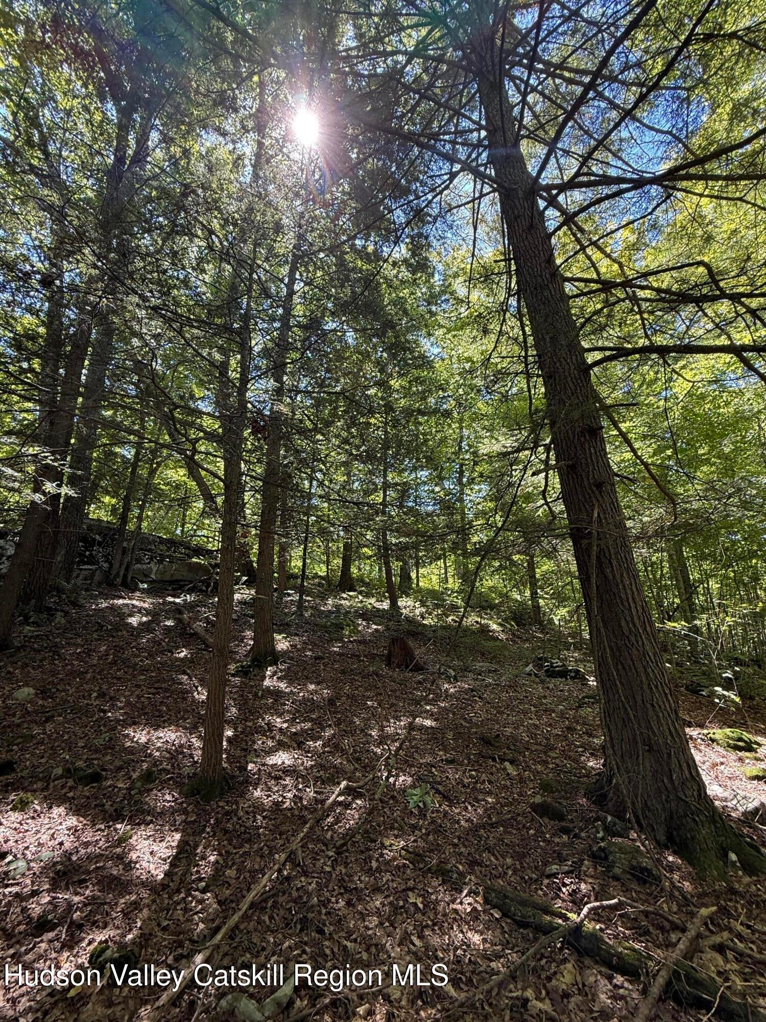 399 Floyd Ackert Road New Paltz NY 12561 For Sale - Coldwell Banker ...