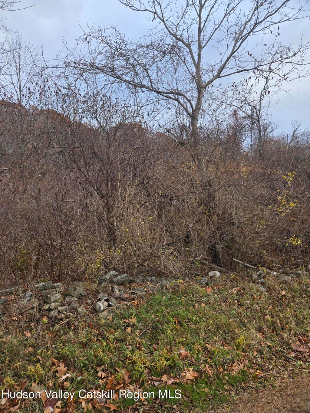 Farm Road, Copake Property Listing: MLS® #20255675