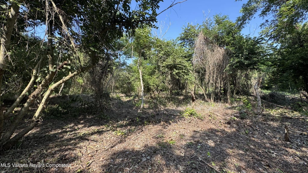 2 Mar Adriatico Lote 2, Poligono 5 Dos Mares, Punta de Mita, Property Listing: MLS® #40609