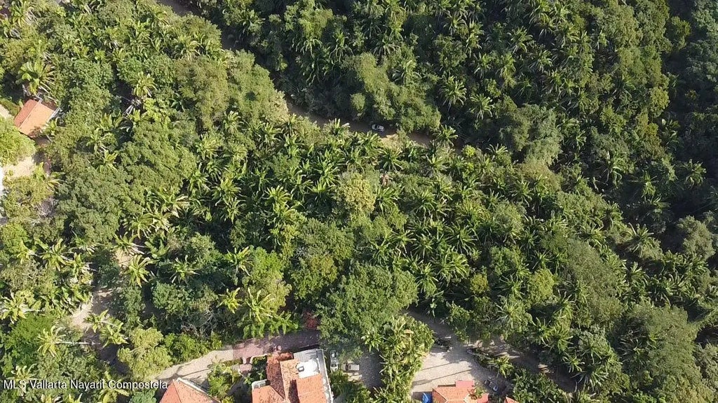 0 Las Clavellinas Lote Palma Alta Fraction D, San Pancho, Property ...